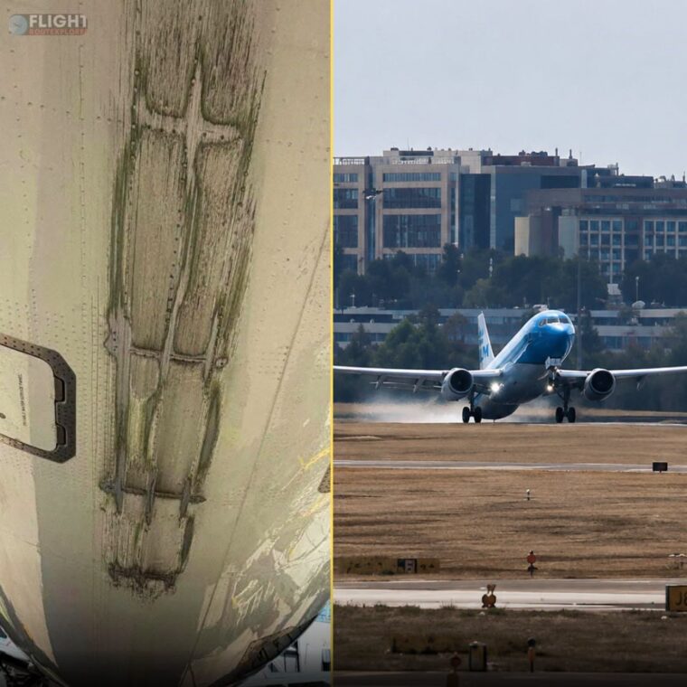 KLM Flight KL1583 Grounded After Hard Landing As Airbus A321neo Tail ...